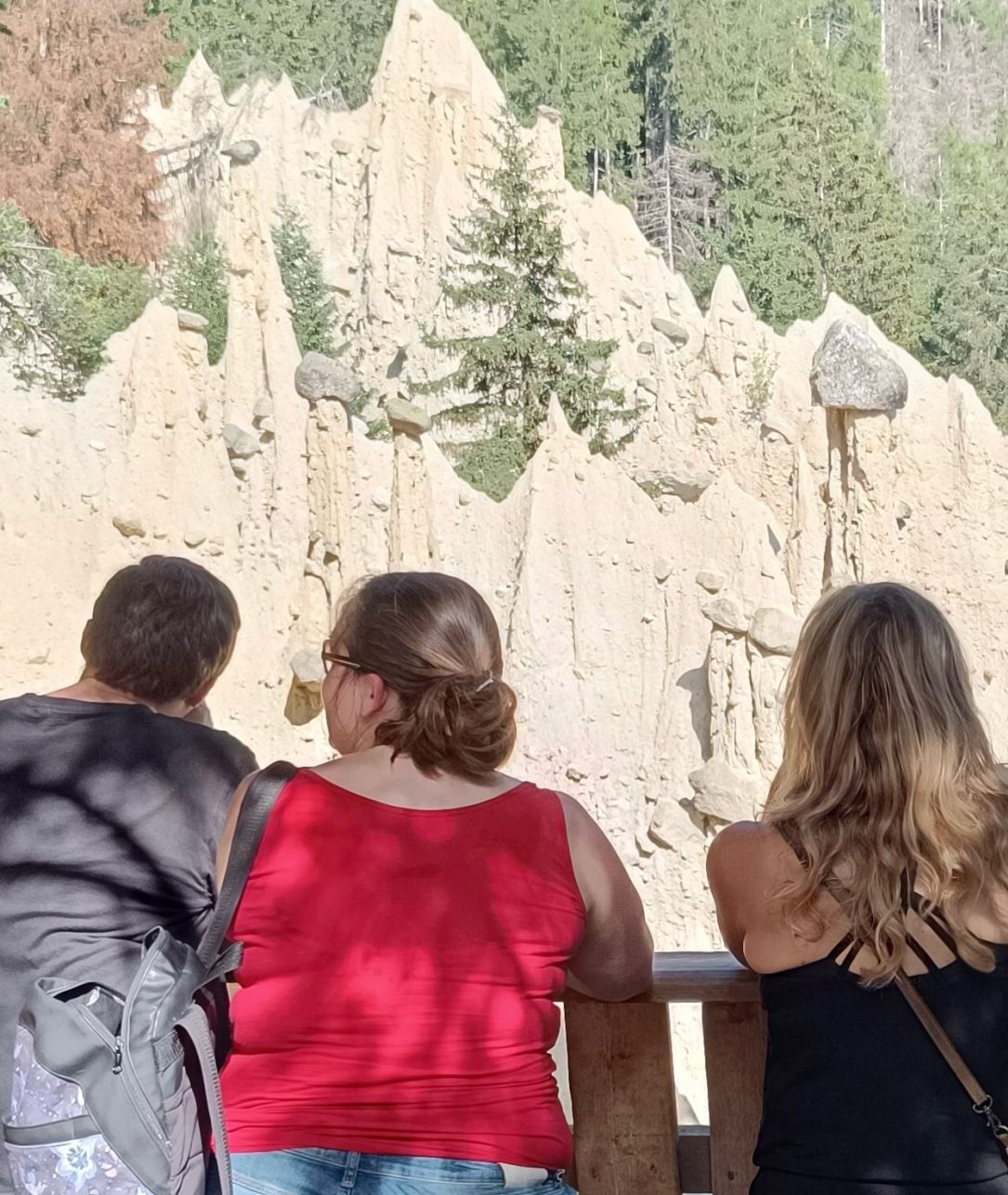 Natur, Kulinarik & eine Portion Honig – das Limitis-Team unterwegs - Limitis